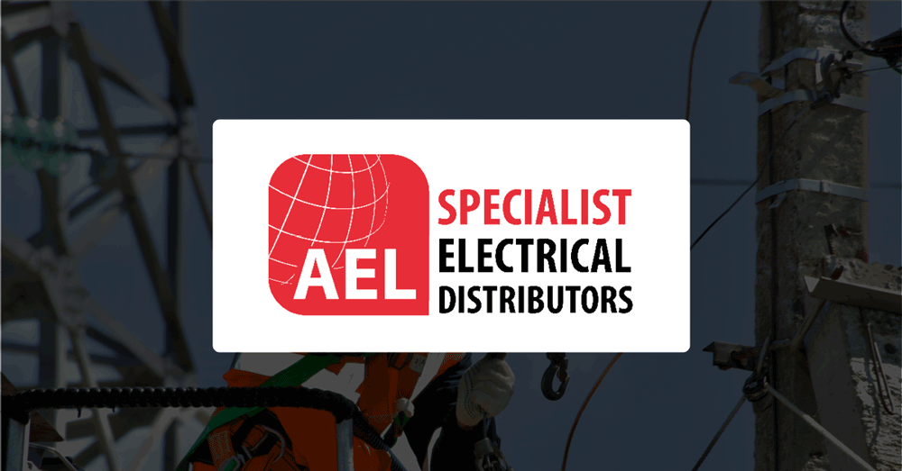 Purchase-to-pay implemented at AEL